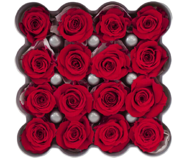ROSES STABILISEES PREMIUM ROUGE x16 - Horticash - ref 310831