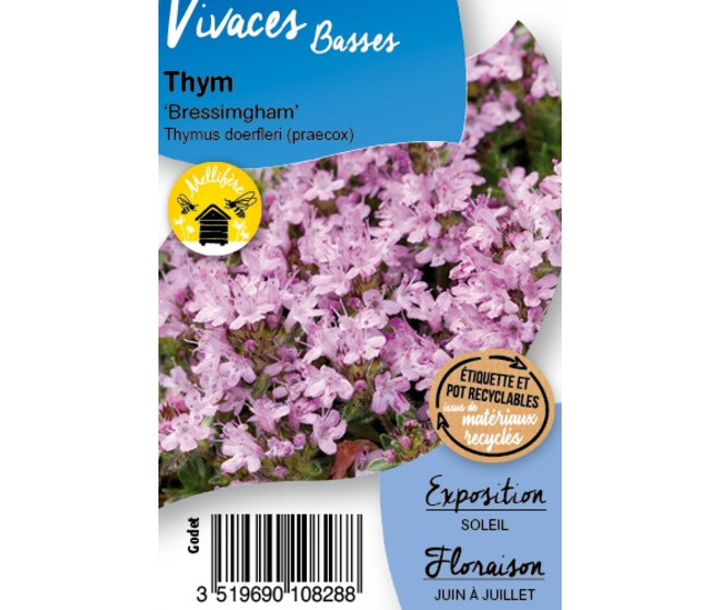THYM A FLEURS ROSE VIF BQ10 - Horticash - ref 661687