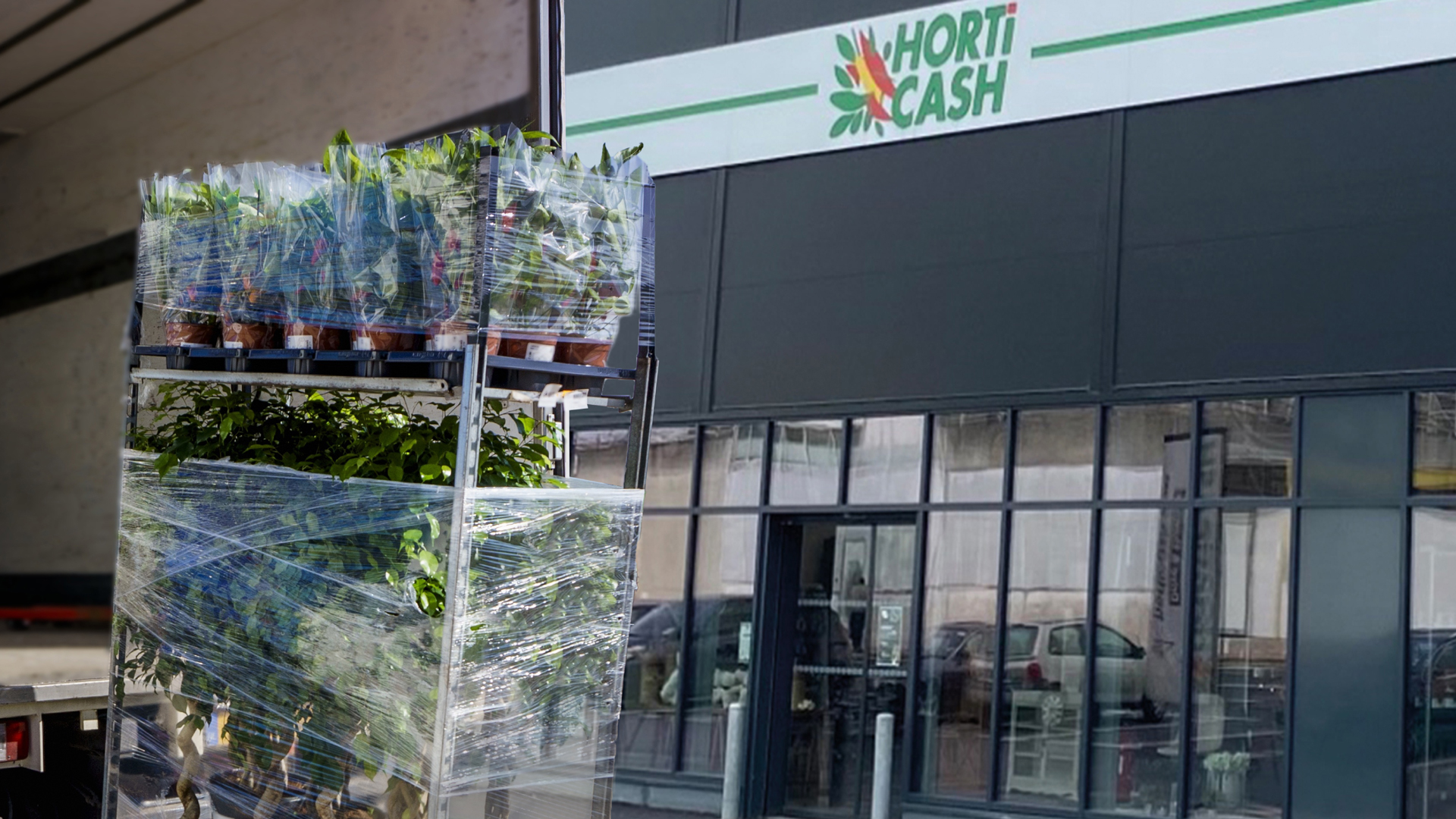 Actualités Nouveau à Rungis ! - Horticash